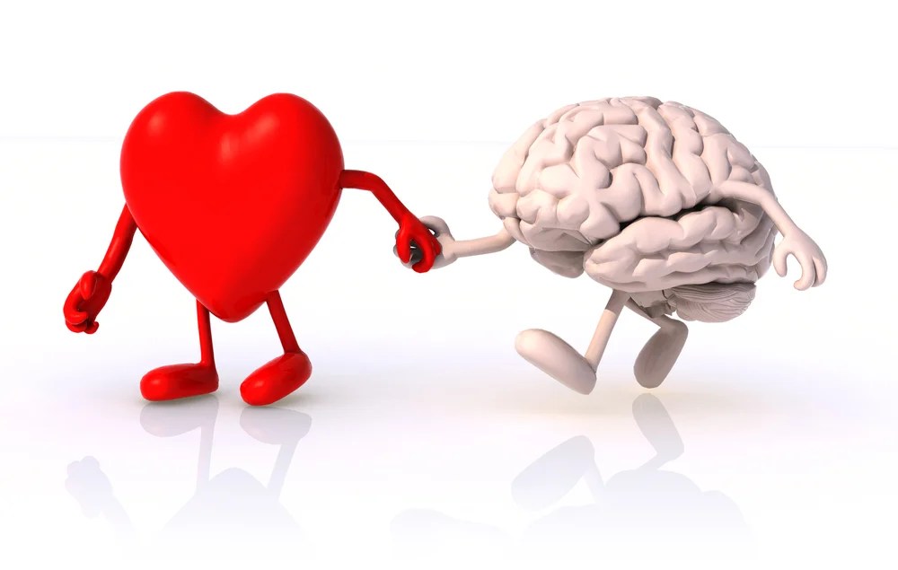 Head and Heart – Jeremy's Journey